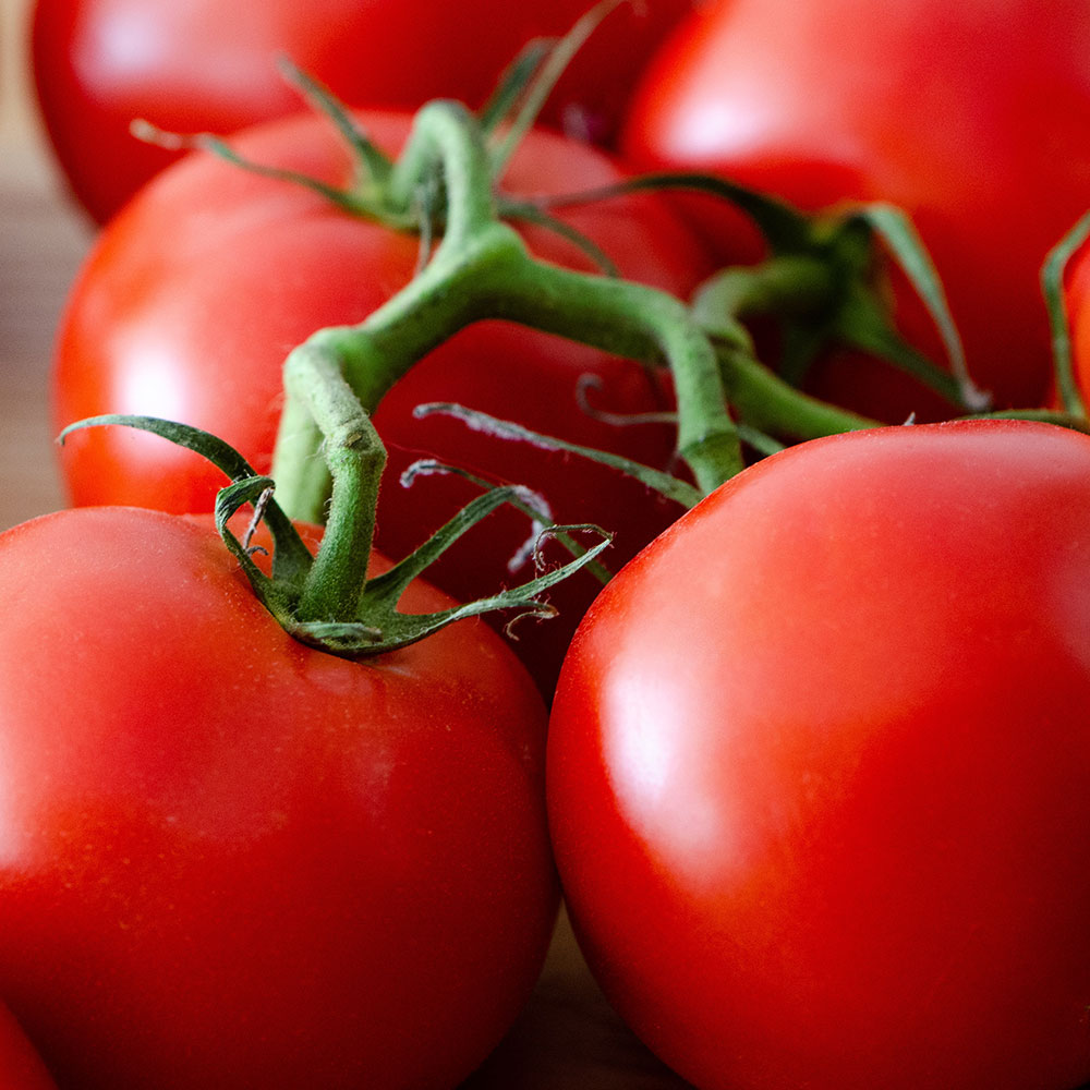 Tomato - Tuff Aussie Plants