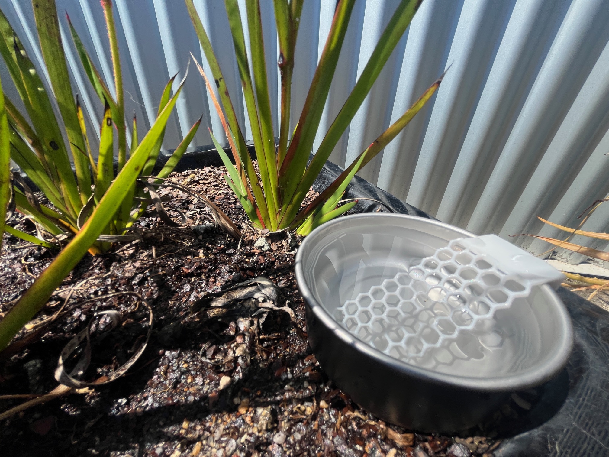 Garden & Landscape tube stock Plants Australia | Tuff Aussie Plants